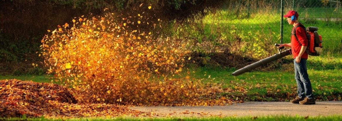 Zahradní kalendář: Říjen na zahradě | Alza.cz